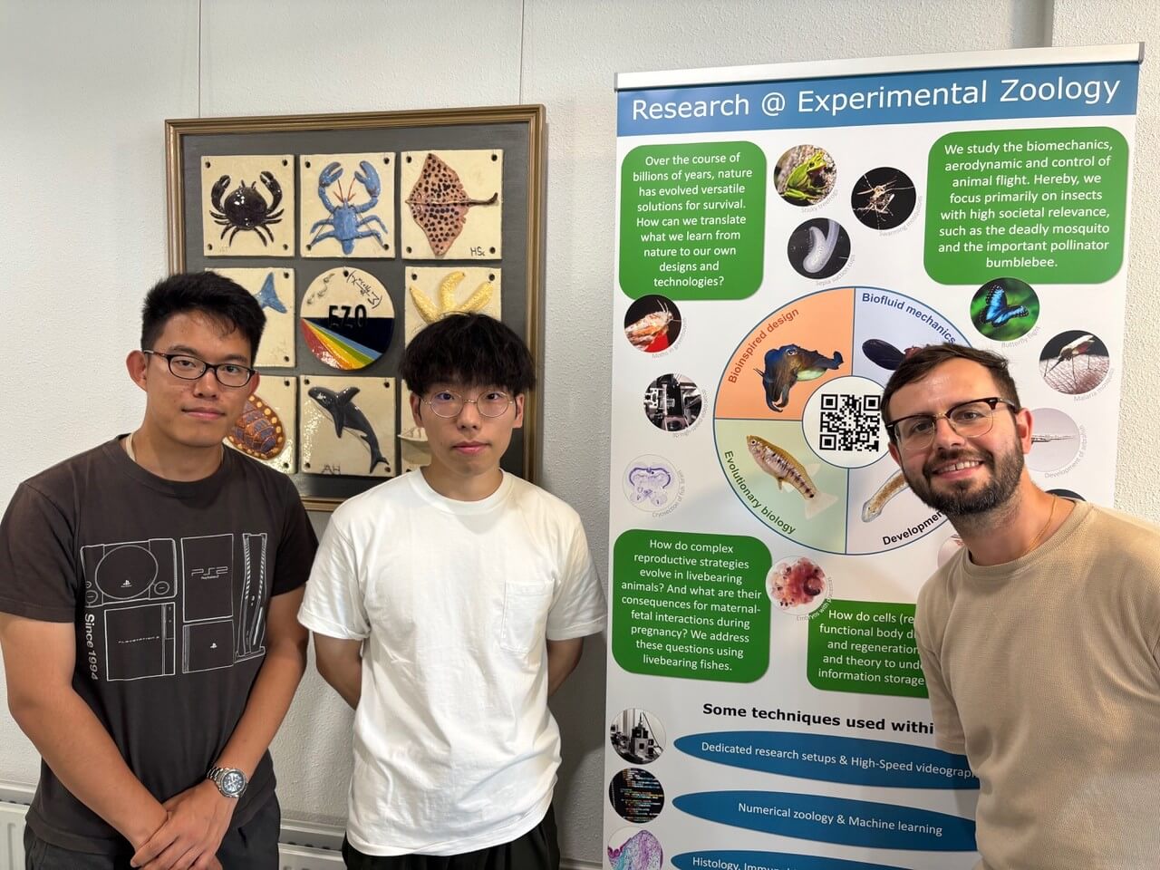 The Biomimetics Lab @ WUR – Biomimetics Lab @ WUR